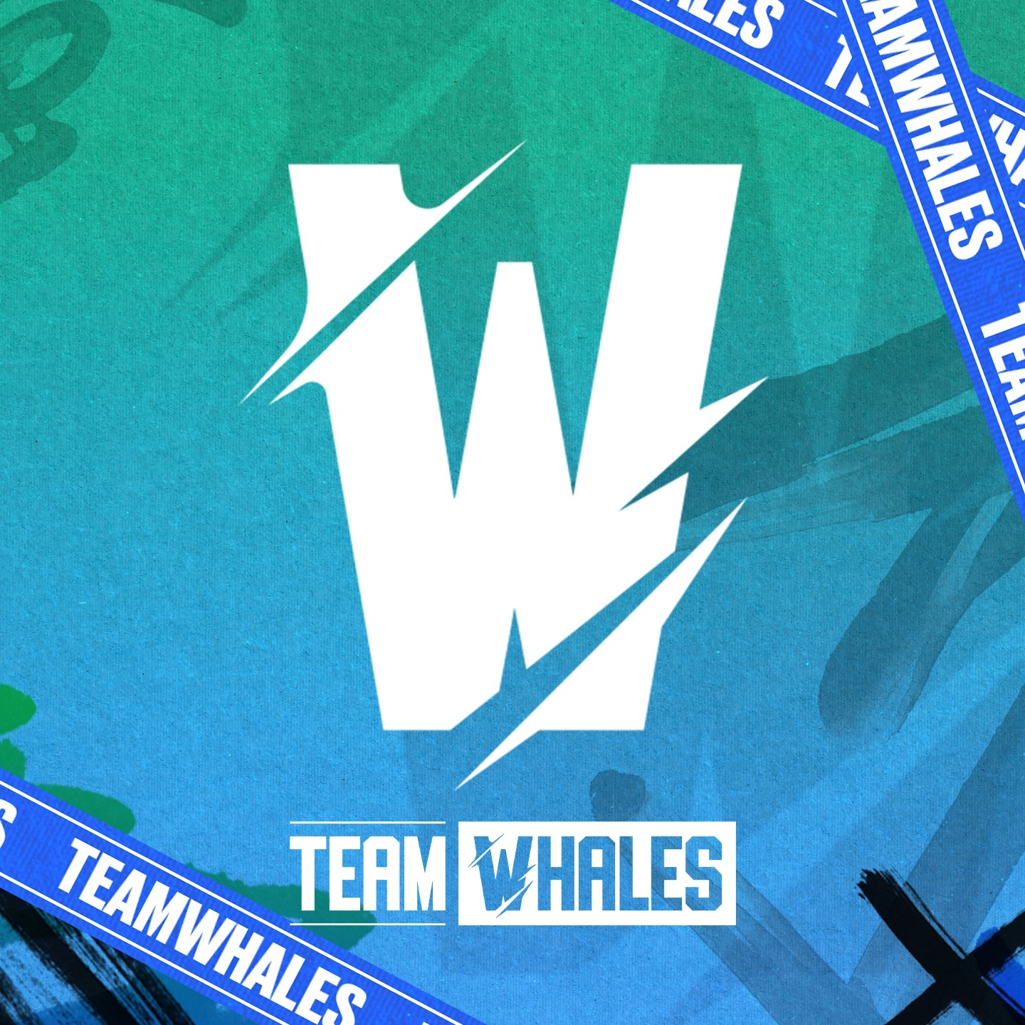 Team Whales: Từ giấc mơ đến hiện thực, sẵn sàng chinh phục đỉnh cao VCS ...